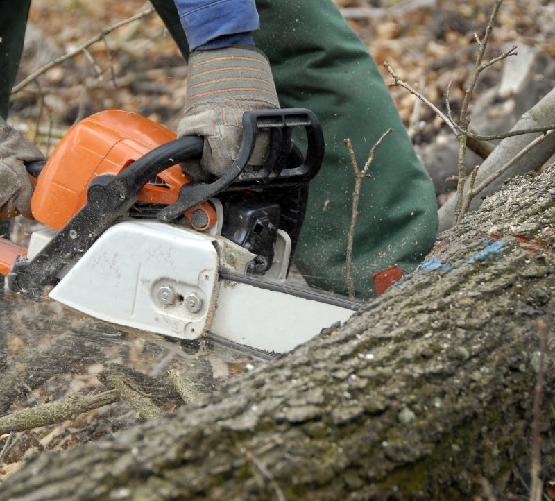 Tree Services in Pulaski, VA | We Offer Free Estimates